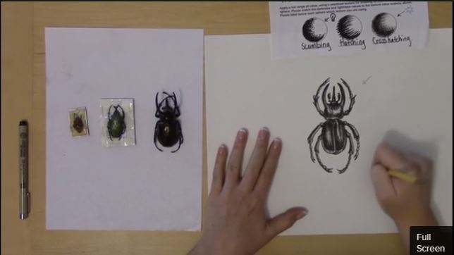 How to draw in pen and ink - learn for free - Pens For Doodling